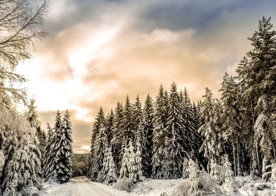 Different Types of Lanyards: Pros and Cons of Breakaway Lanyards, Badge ...